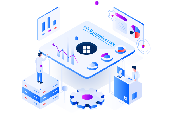 MS Dynamics NAV