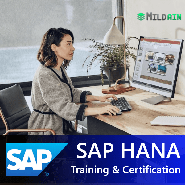 About SAP HANA Training Course